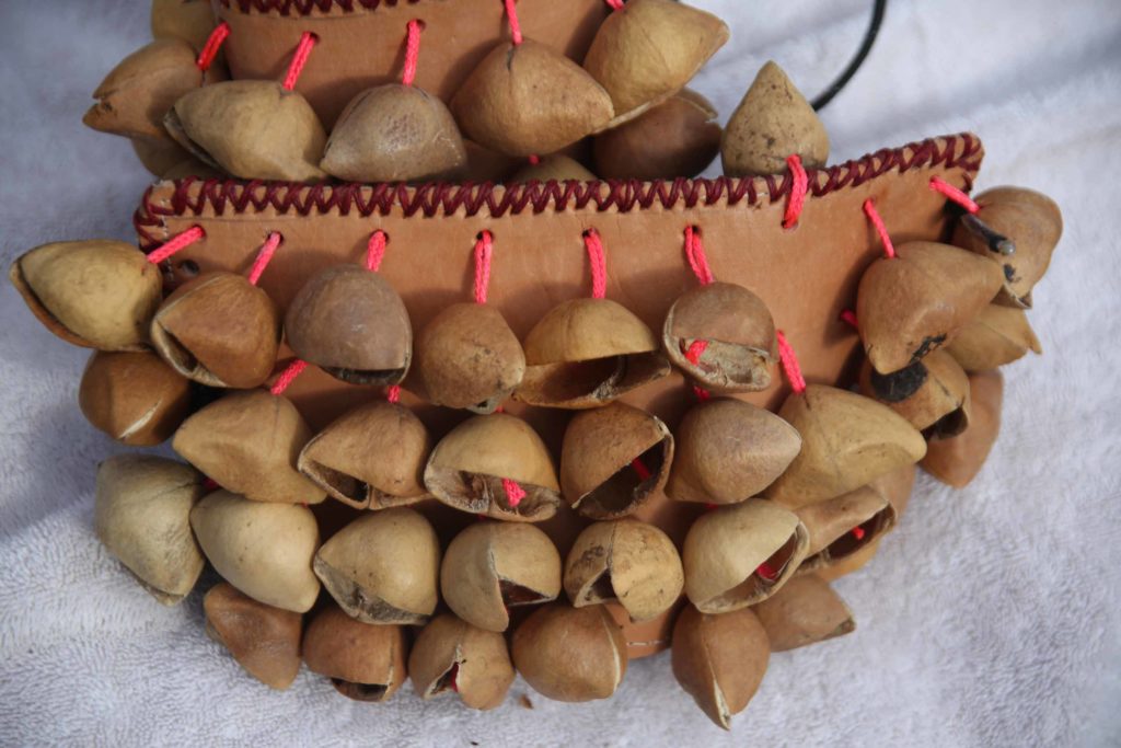 Aztec Dancer Leg Rattles Ayayotes Coyoleras - First Nations Music