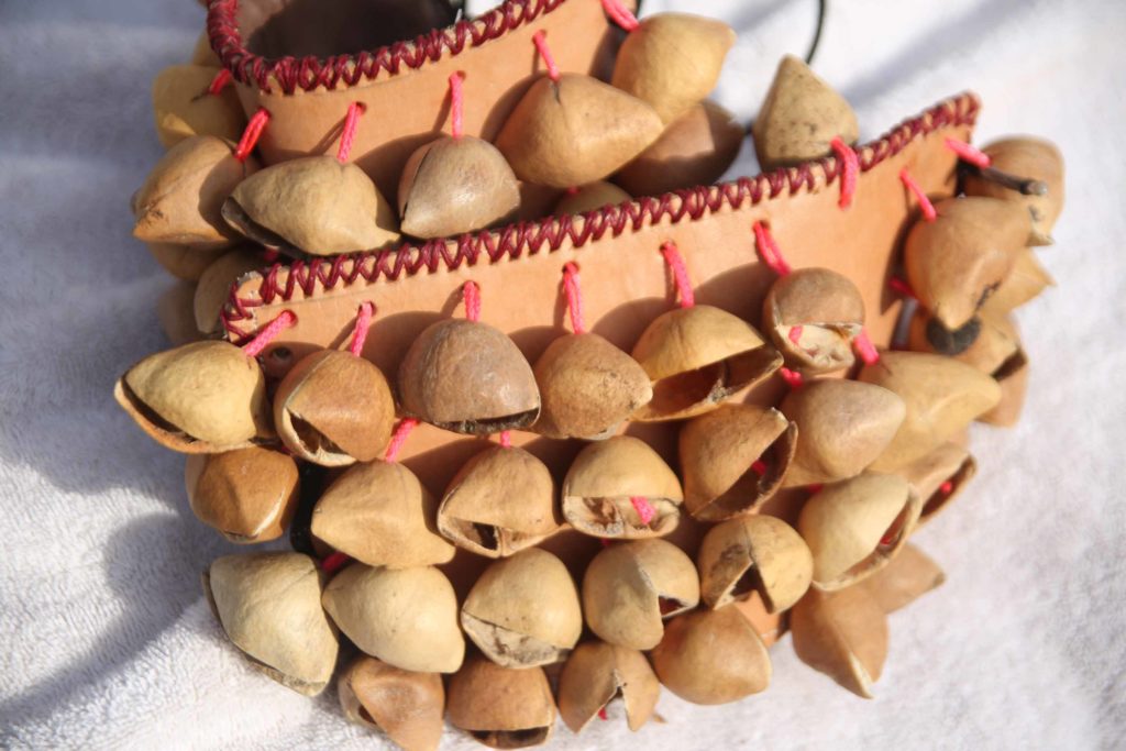 Aztec Dancer Leg Rattles Ayayotes Coyoleras - First Nations Music